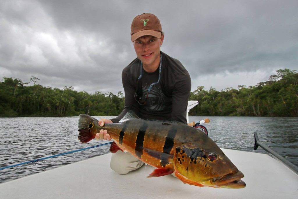 Fly Fishing Photo Rio Marié Peacock Bass On The Fly The Venturing Angler