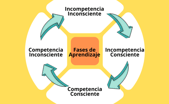 El Proceso De Aprendizaje Fases Y Elementos Fundamental Bilarasa