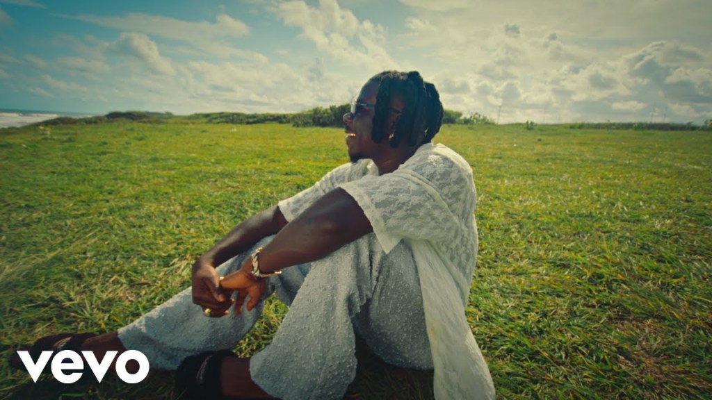 Stonebwoy Into The Future Video