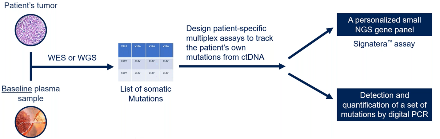 The Utility Of Liquid Biopsy In Oncology Clinical Trials Xtalks