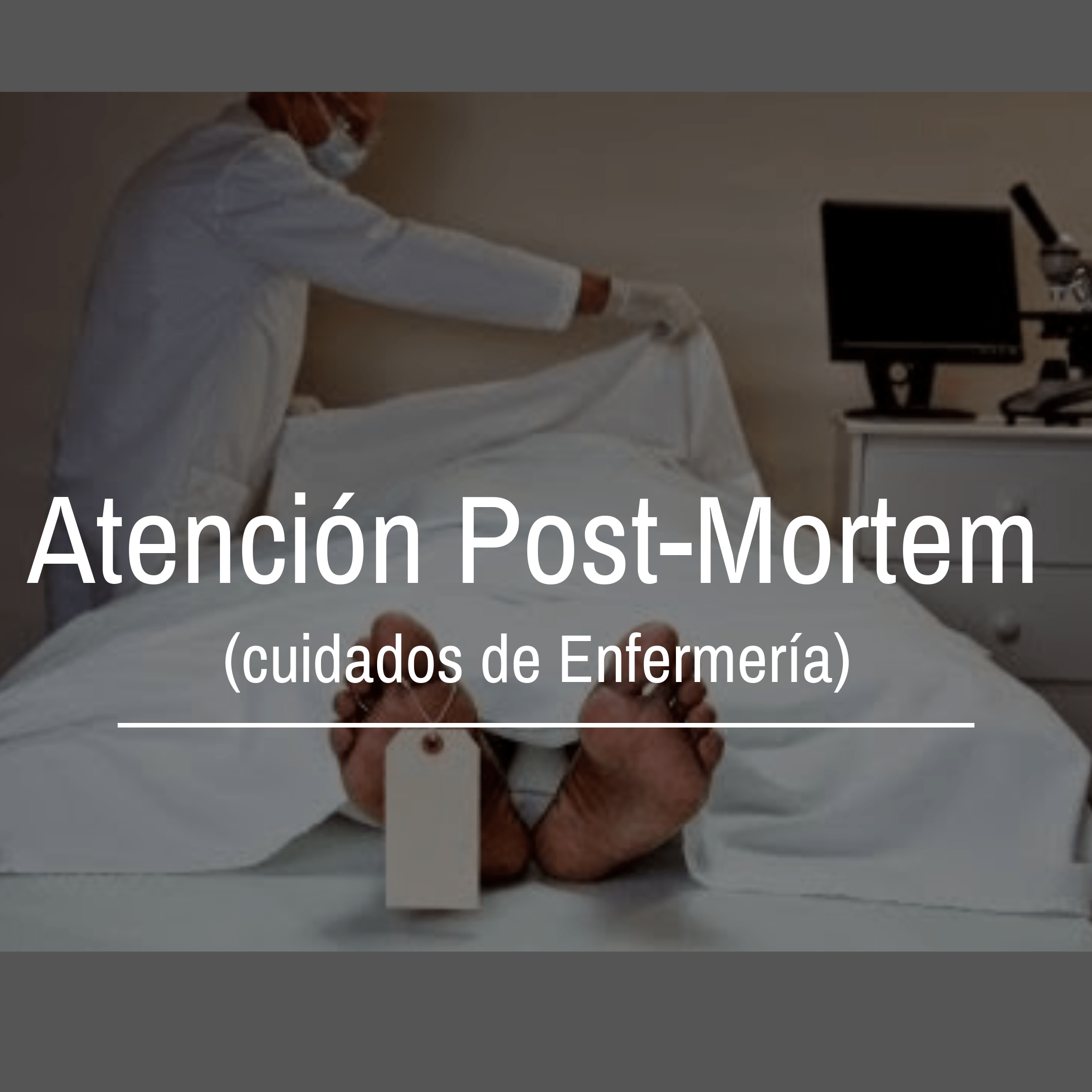 Cuales Son Los Tipos De Mortem Vrogue