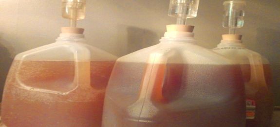 Homemade Ginger Beer Using A Ginger Bug Or Yeast