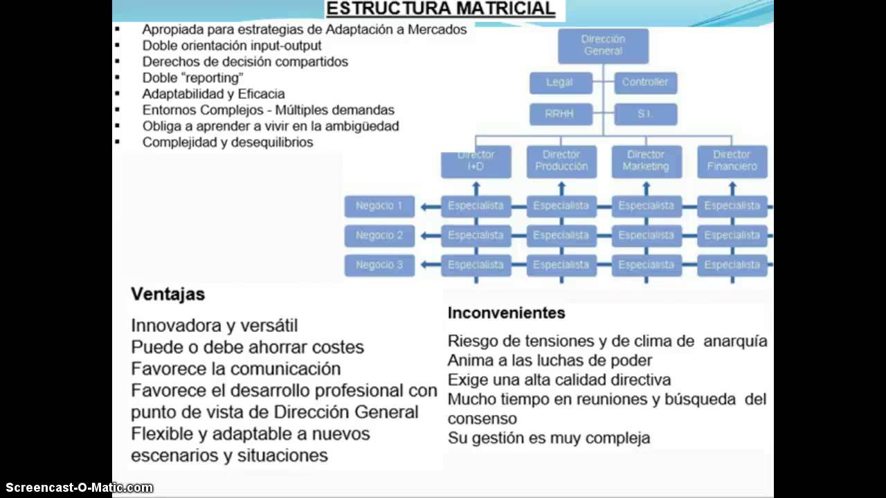 Ventajas Y Desventajas De La Estructura Matricial Varias Estructuras