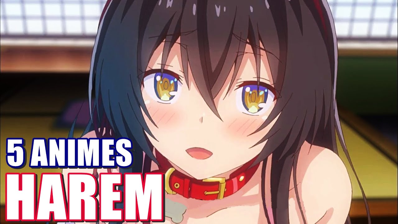 Top 5 Animes De Ecchi Harem Que Tienes Que Ver Otosection