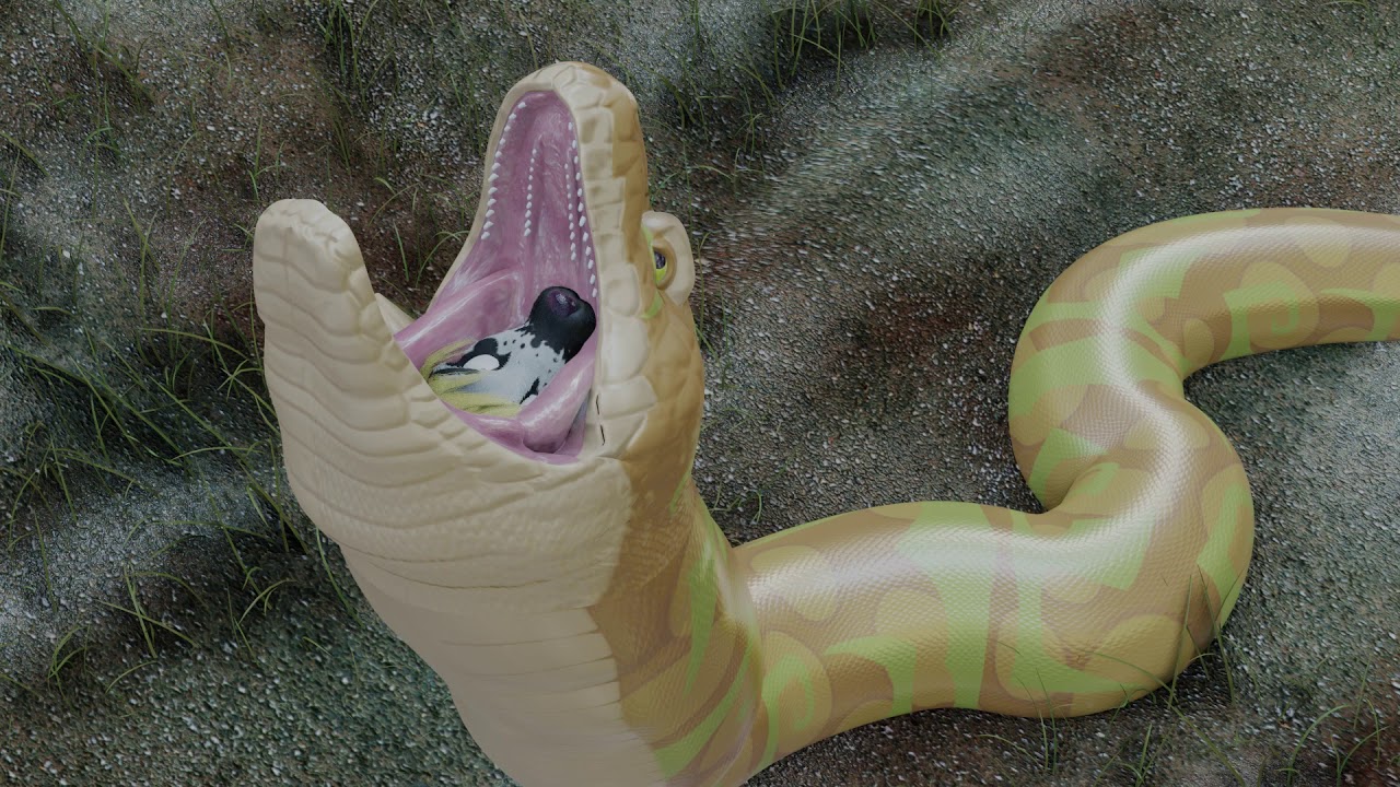 Snake Vore Part 2 Otosection