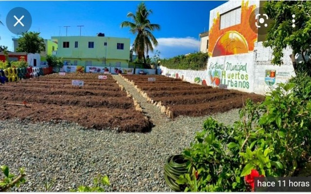 Alcalde Manuel Jiménez Inicia Sistema De Huertos Urbanos En Los Frailes