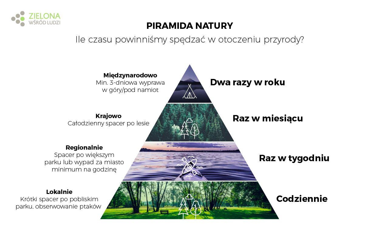 KsiĄŻka Natura Leczy Zielona Wśród Ludzi