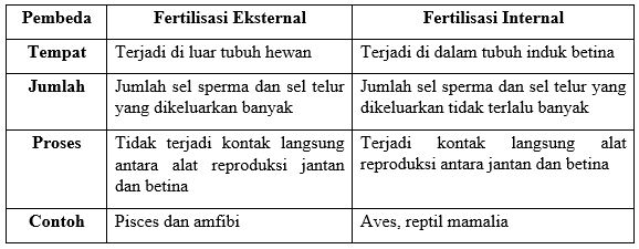 Contoh Hewan Yang Mengadakan Pembuahan Di Dalam Tubuh Adalah Meteor