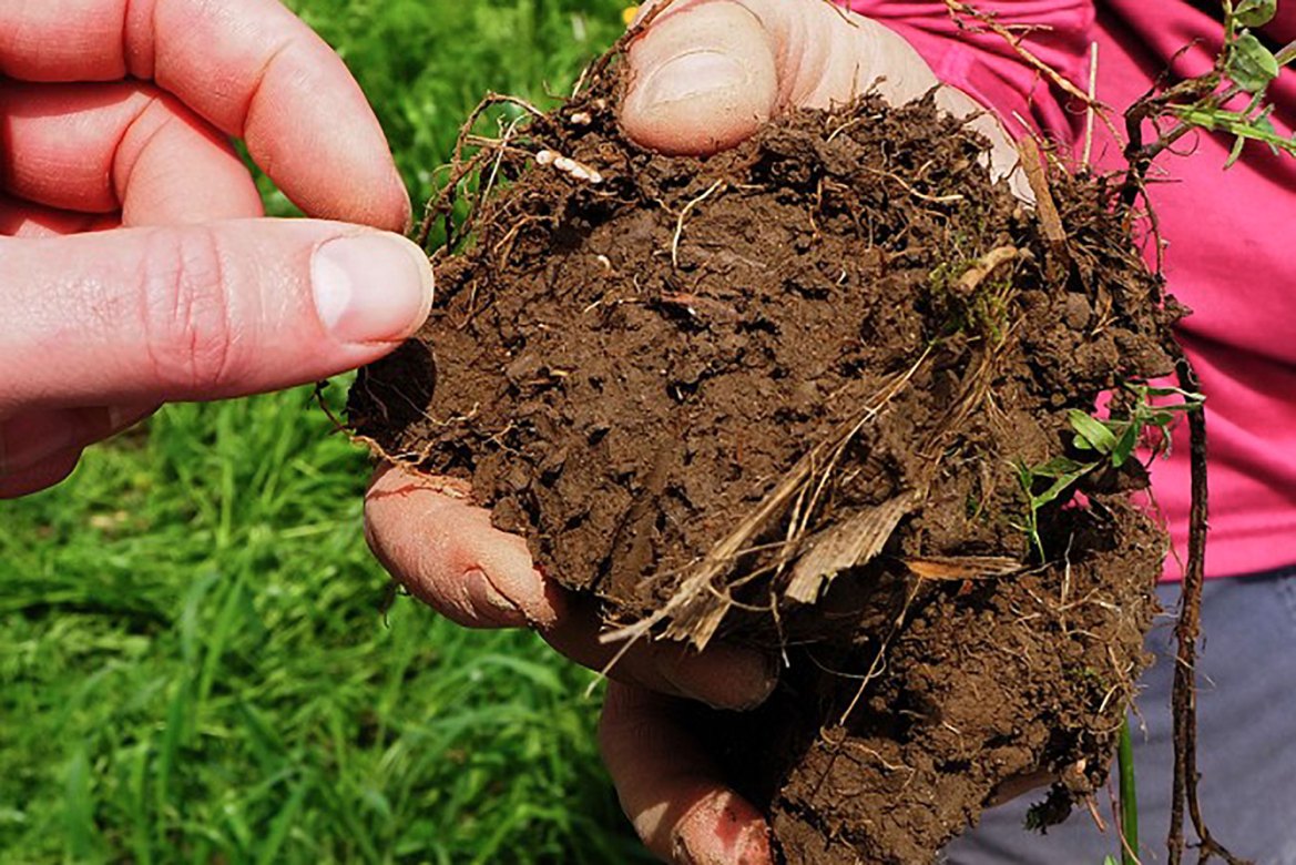 Newly Passed Ny Soil Health Legislation Backed By Cornell Research