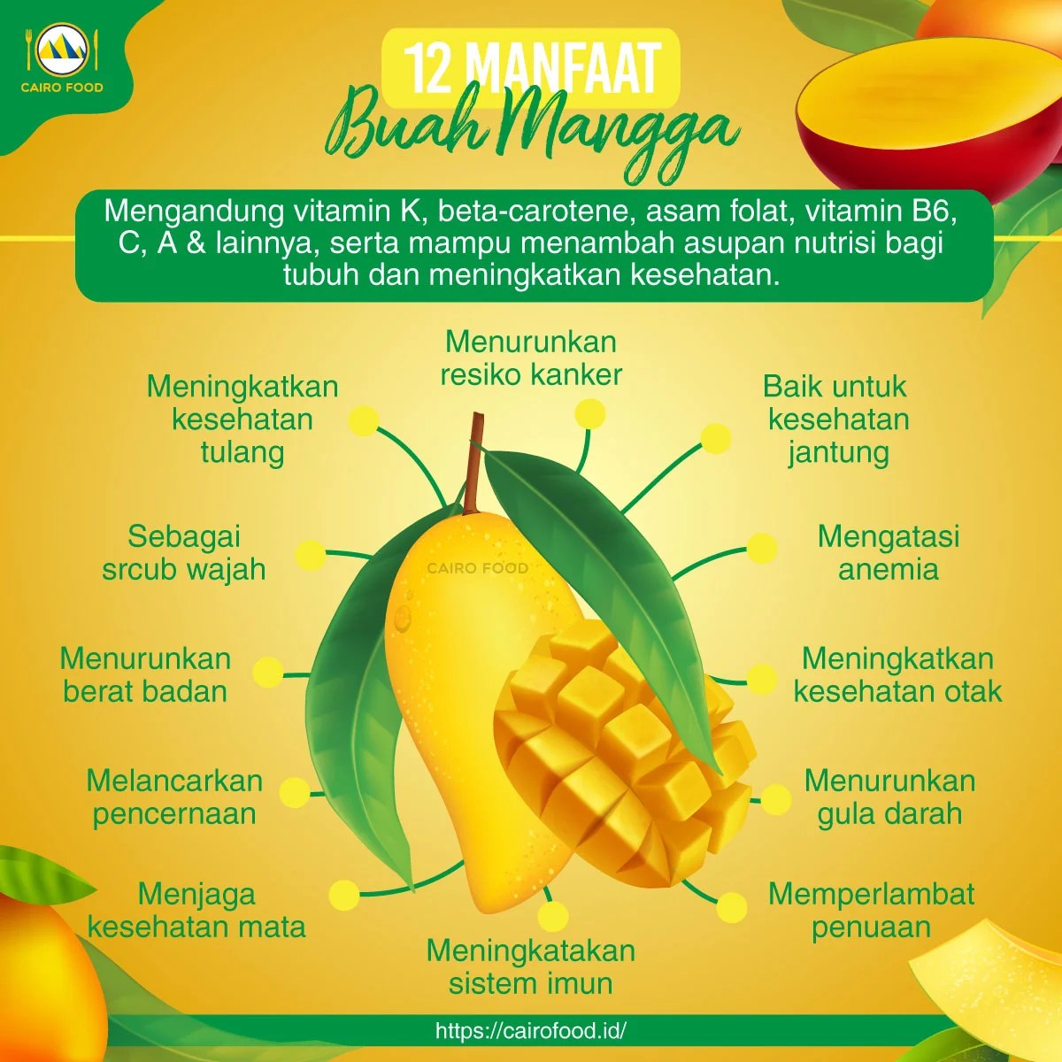 Buah Mangga Kandungan Gizi Dan Manfaat Buah Mangga Yang Wajib Diketahui