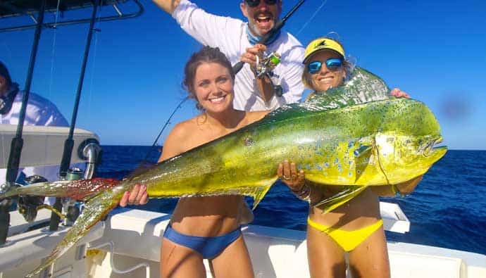 Your Ultimate Dorado Fish Guide How To Catch Clean And Cook Mahi Mahi