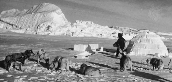 Tempat Tinggal Orang Eskimo Disebut Sinau