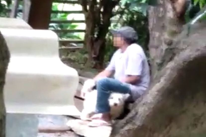 Vídeo Mostra Homem Estuprando Cachorro Em Quintal De Casa Diário