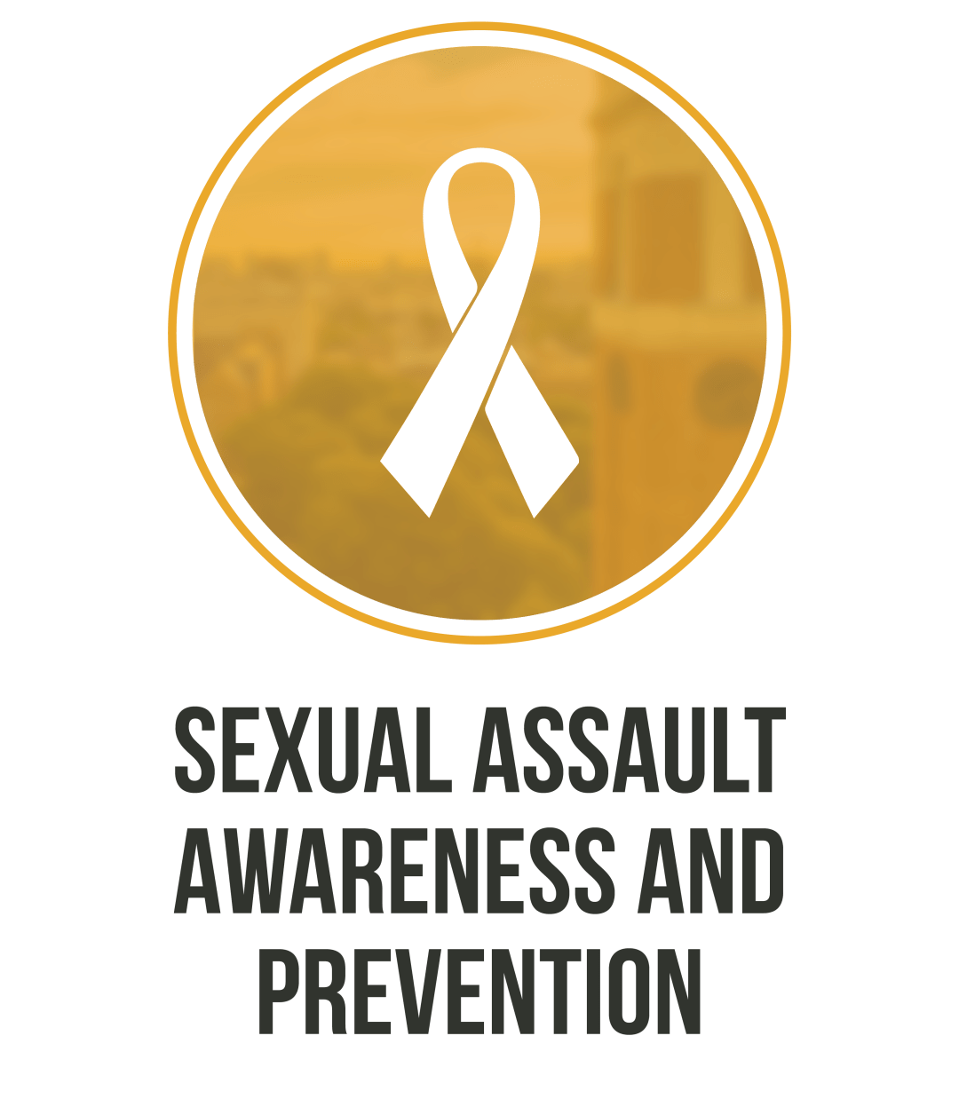 Sexual Assault Awareness And Prevention Committee Vanderbilt Student