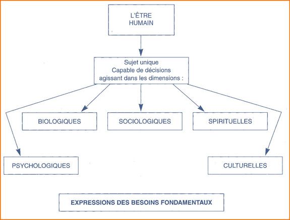 4 Les Besoins Fondamentaux De Lêtre Humain Medicine Key