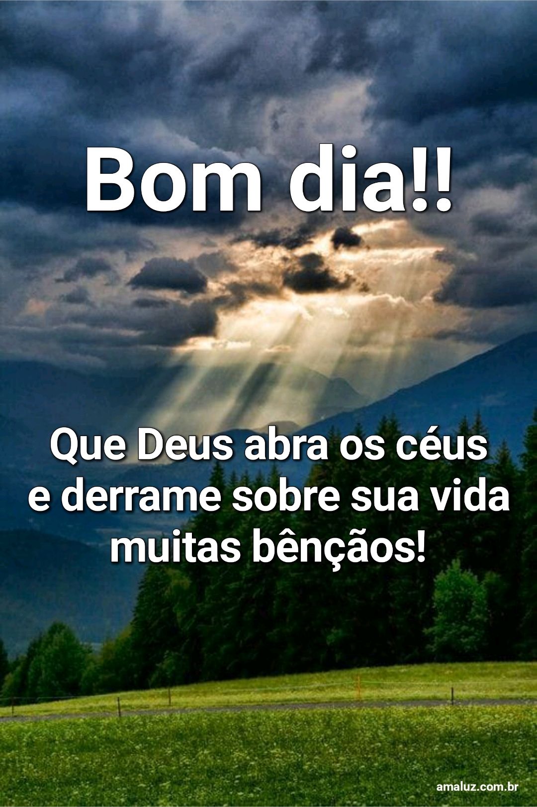 36 Mensagens De Bom Dia Novas E Especiais Para Whatsapp Com Carinho