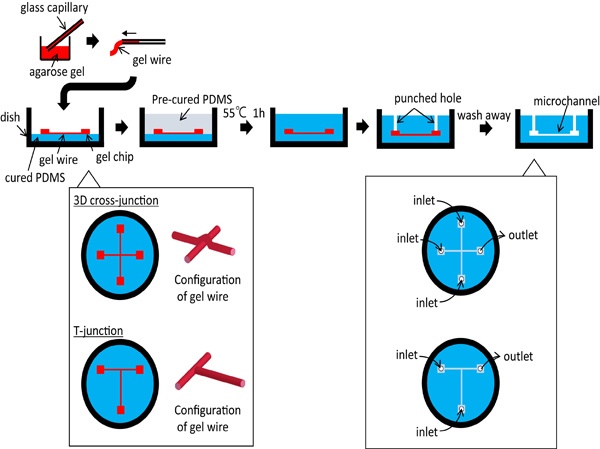 Droplet Formation Behavior In A Microfluidic Device Fabricated By