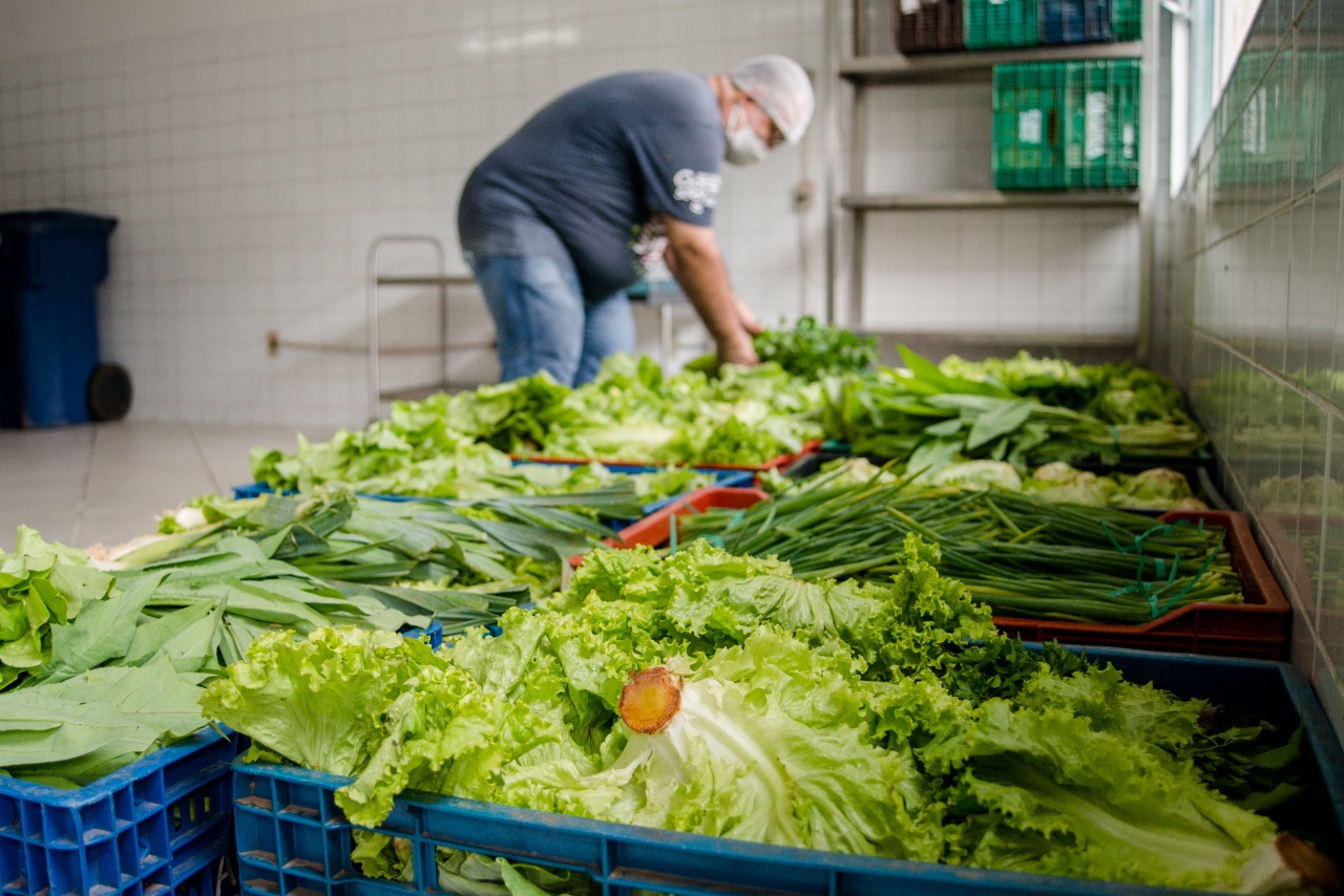 Segurança Alimentar Rede De Atendimento Garante Comida Saudável A Quem