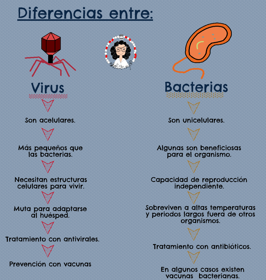 Cuadro Comparativo Entre Hongos Virus Y Bacterias Las Bacterias Images