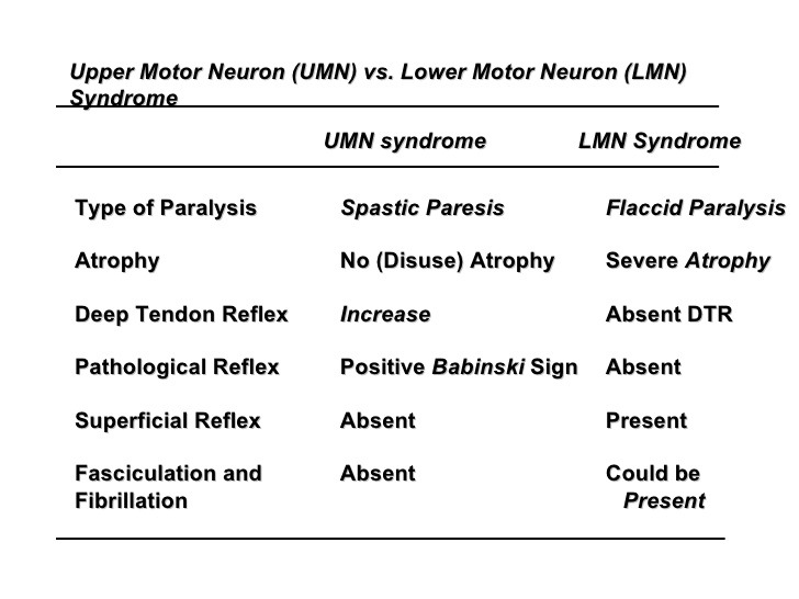 Upper Motor Neuron And Lower Motor Neuron Syndromes Bone And Spine