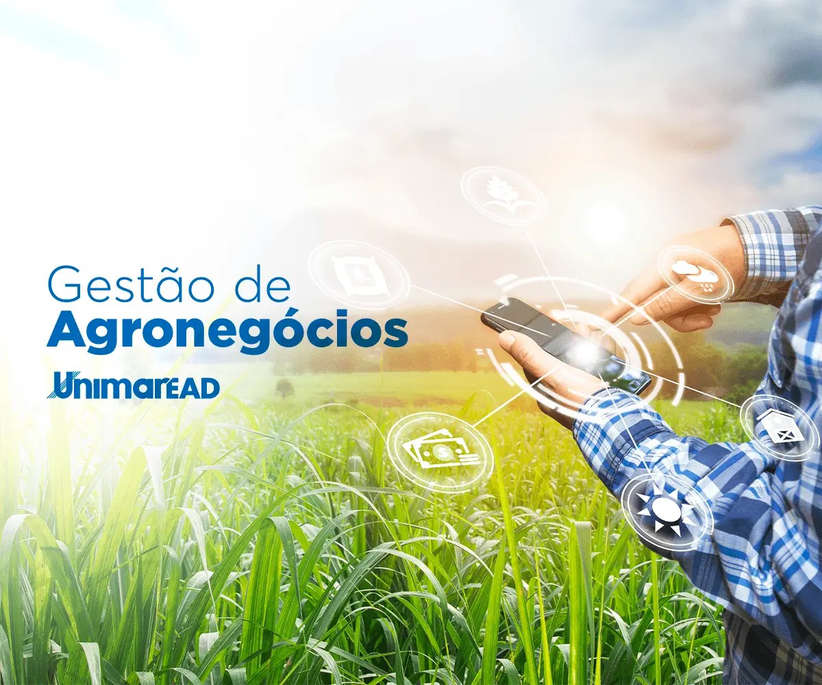 O Que é Gestão De Agronegócios Unimar Blog