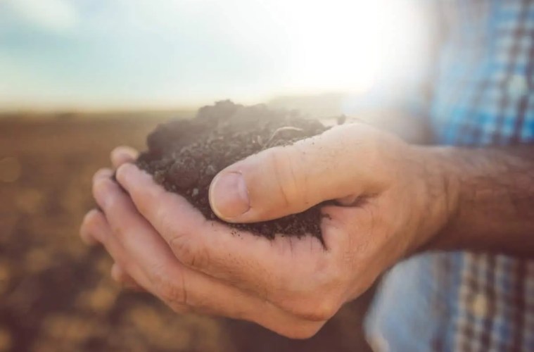 Fertilidade Do Solo Plano Passo A Passo Para Alcançar Alta Produtividade