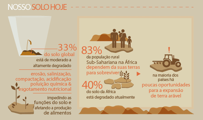 O Que Torna O Solo Fértil Fatores E Outras Recomendações