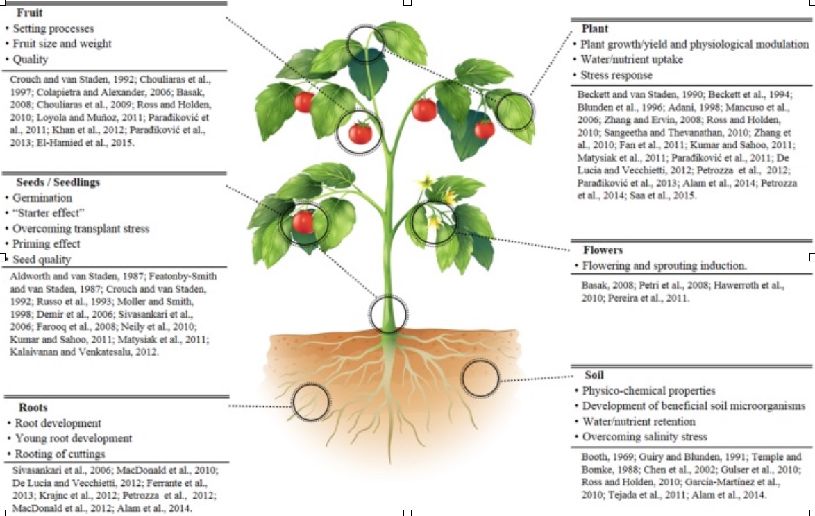 What Are Plant Biostimulants And How Do They Benefit Plants