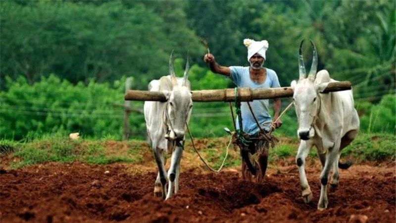 Advanced Farming Enriched Farmers Scheme In Maharashtra Govinfome