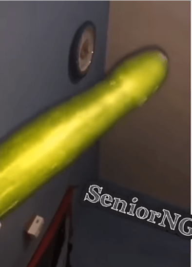 Shameless Lady Display Huge Cucumber She Uses On Herselfvideo