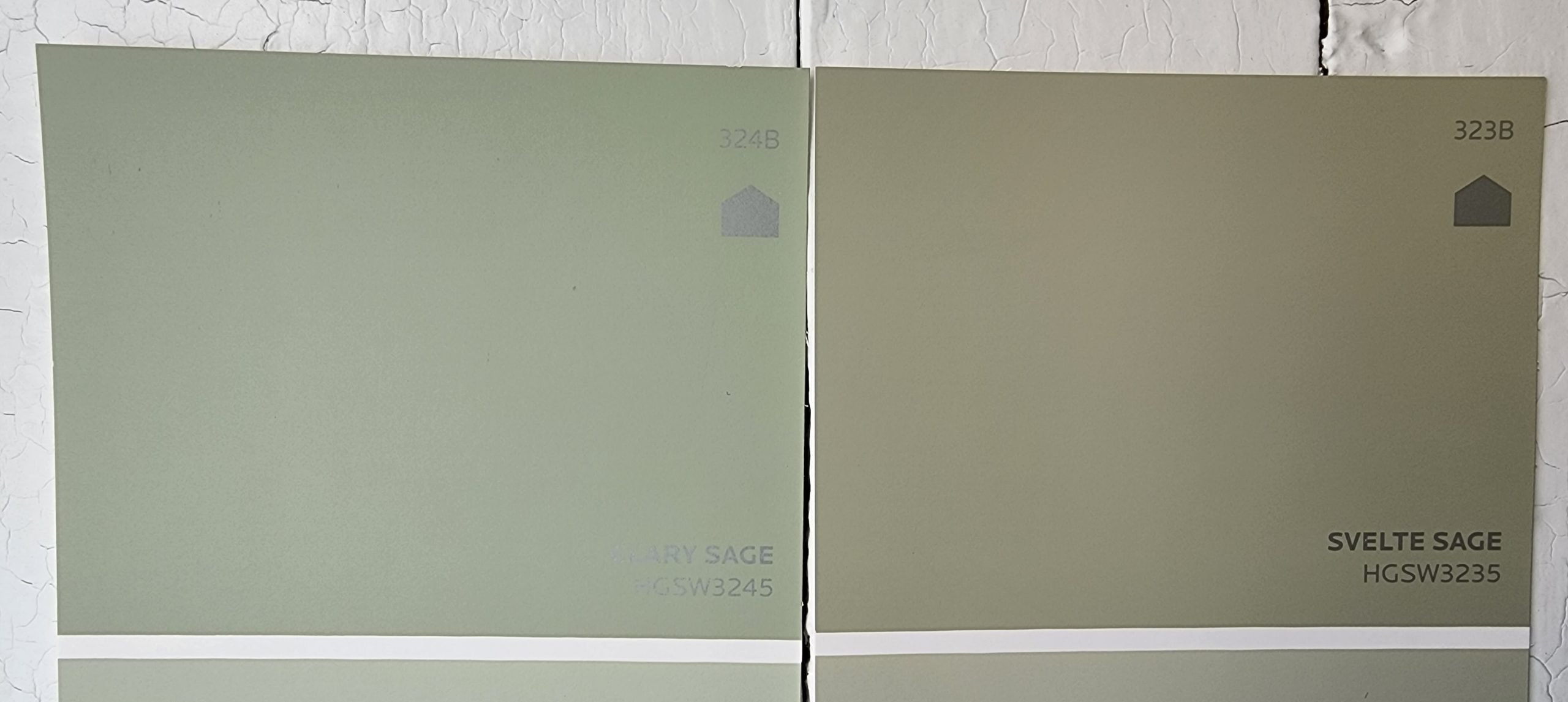 Sherwin Williams Svelte Sage Pictures Color Inspiration