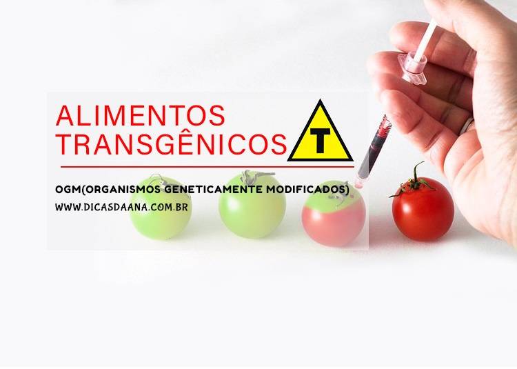 Alimentos Transgênicos O Que São Quais Os Perigos Fique Atento