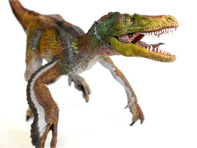 Velociraptor Feathered Version By Papo Dinosaur Toy Blog