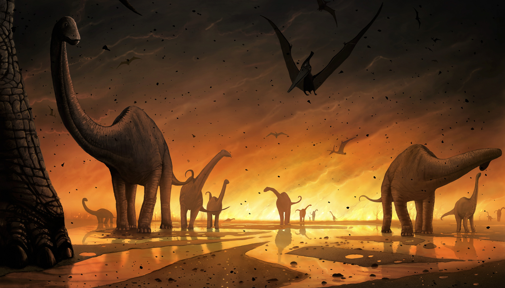 Fascinating Facts About The Cretaceous Mass Extinction Earthly Universe