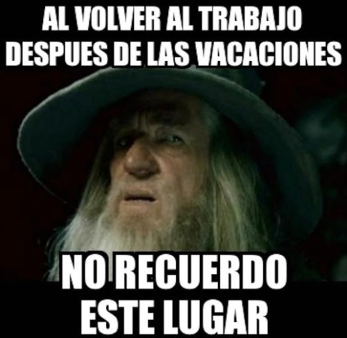 17 Memes De Las Vacaciones Que Te Recordarán La Desgracia De Nacer Erizos