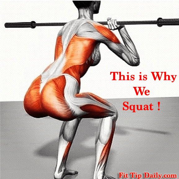 Different Types Of Squats Switch It Up For Amazing Legs Fit Tip Daily