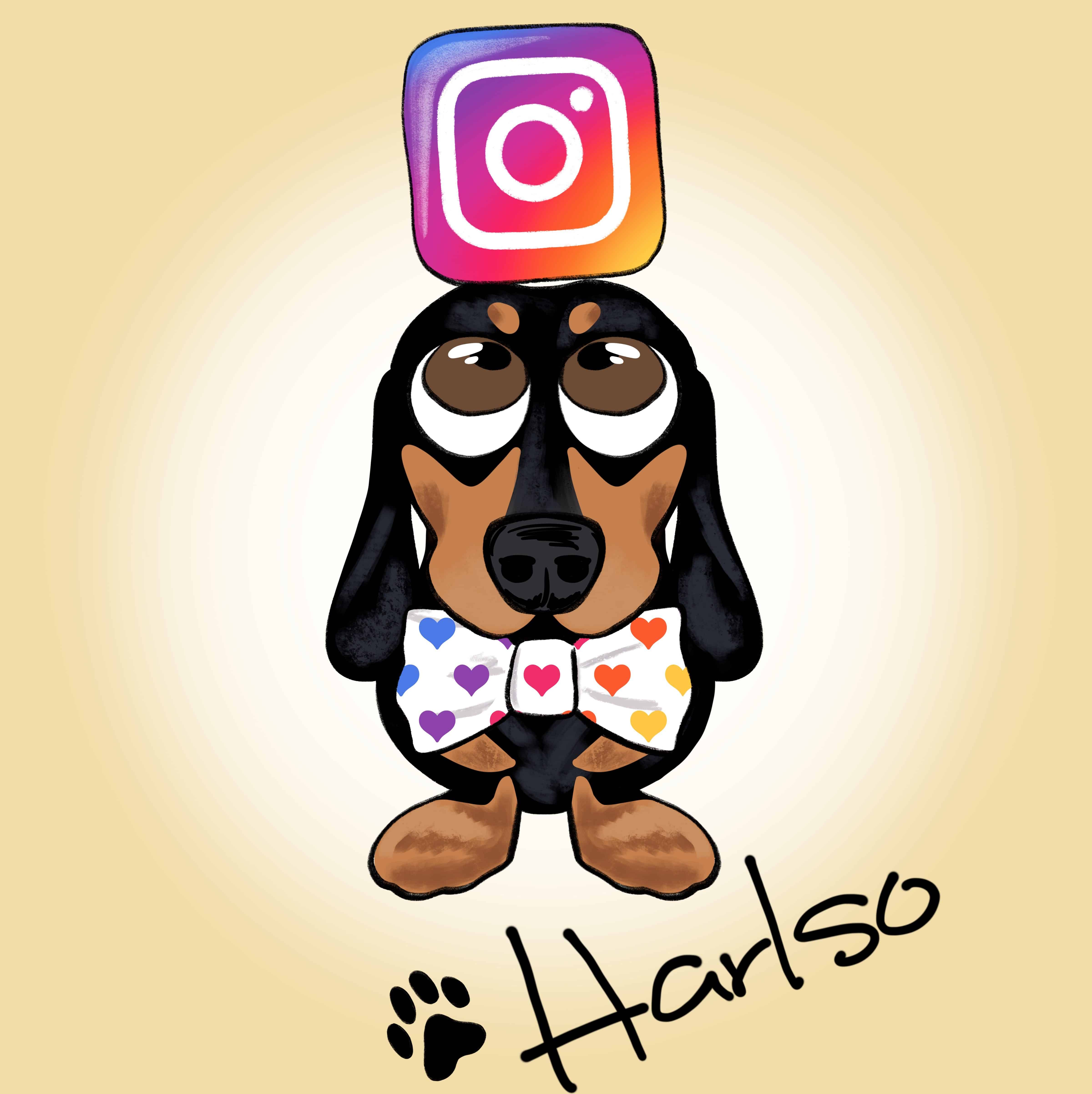 Cartoon Picture For Instagram ~ Instagram Cartoon Logo Png Bodewasude