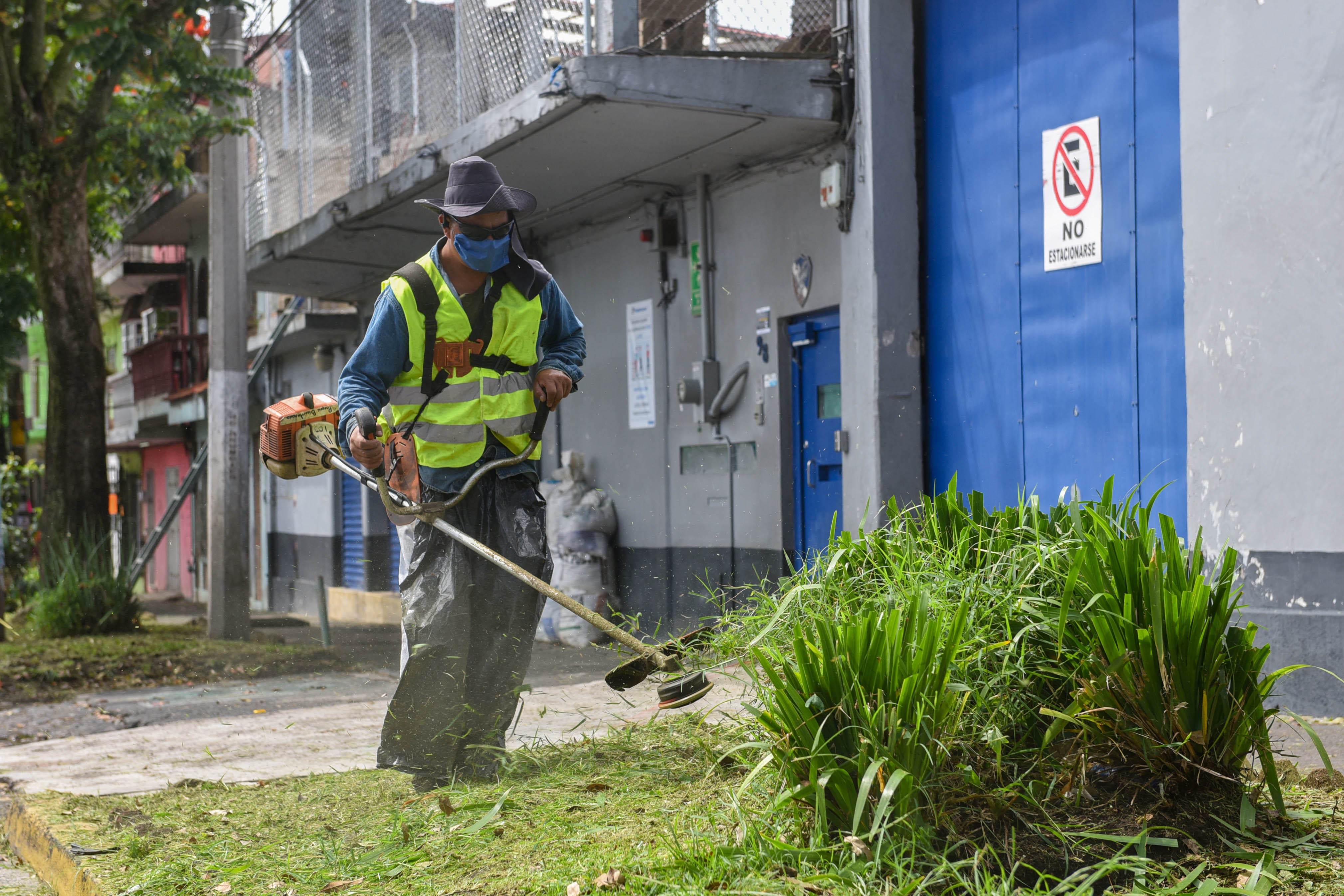 Continúa Limpieza Y Mantenimiento De áreas Verdes En Xalapa Hasta Cuando