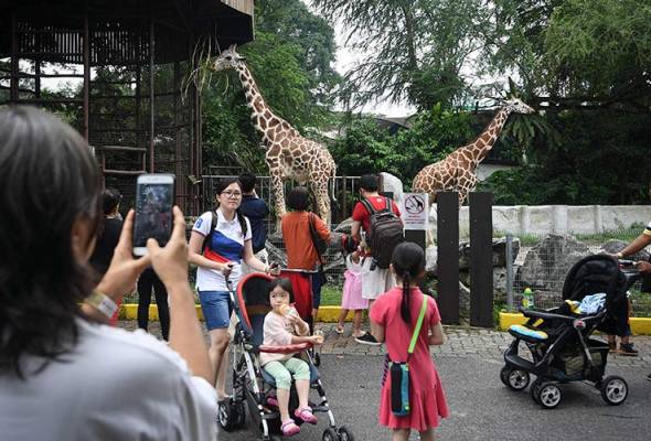 Kepentingan Hidupan Liar Di Malaysia Dari Segi Ekopelancongan Hutan Riset