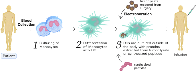 免疫治療 Immunotherapy 專題 The Investigator Taiwan