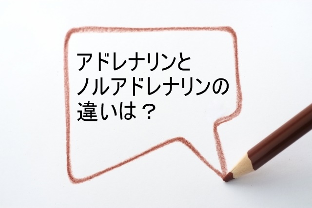 アドレナリンとノルアドレナリンの違いは？各作用と使い分け方！｜情報の海