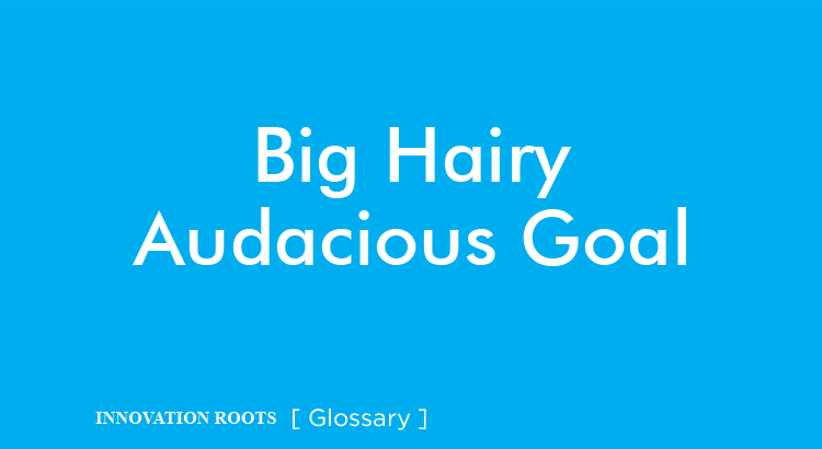 Big Hairy Audacious Goal Glossary Innovation Roots