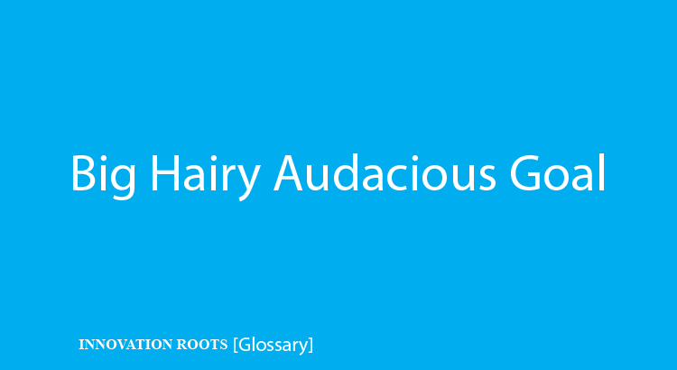 Big Hairy Audacious Goal Glossary Innovation Roots