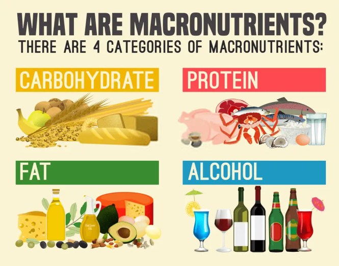 Macronutrients Definition Bruin Blog