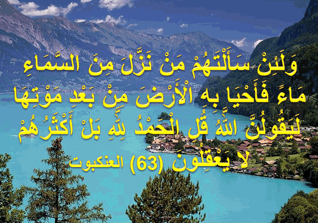 وَلَئِنْ سَأَلْتَهُمْ مَنْ نَزَّلَ مِنَ السَّمَاءِ مَاءً فَأَحْيَا بِهِ