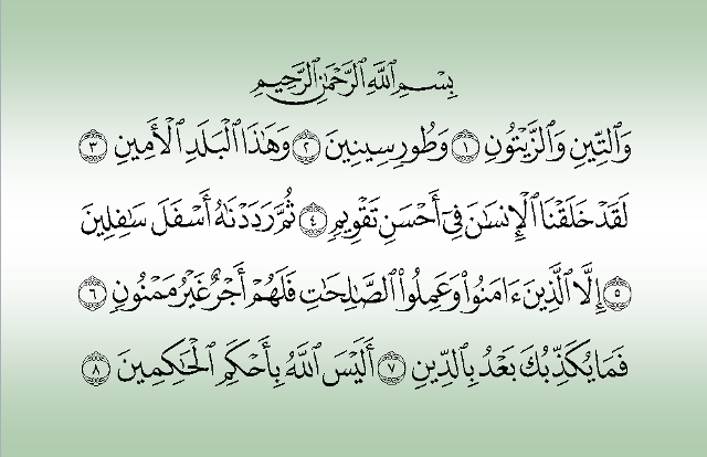 Surah At Tin Surah Yang Ke Ilmu