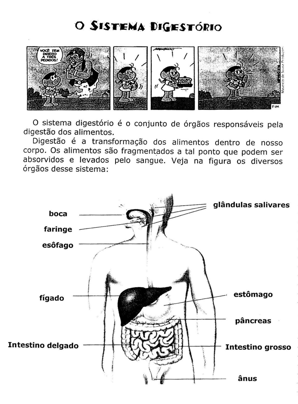 Atividades Sobre O Sistema Digestivo 5 Ano Image To U