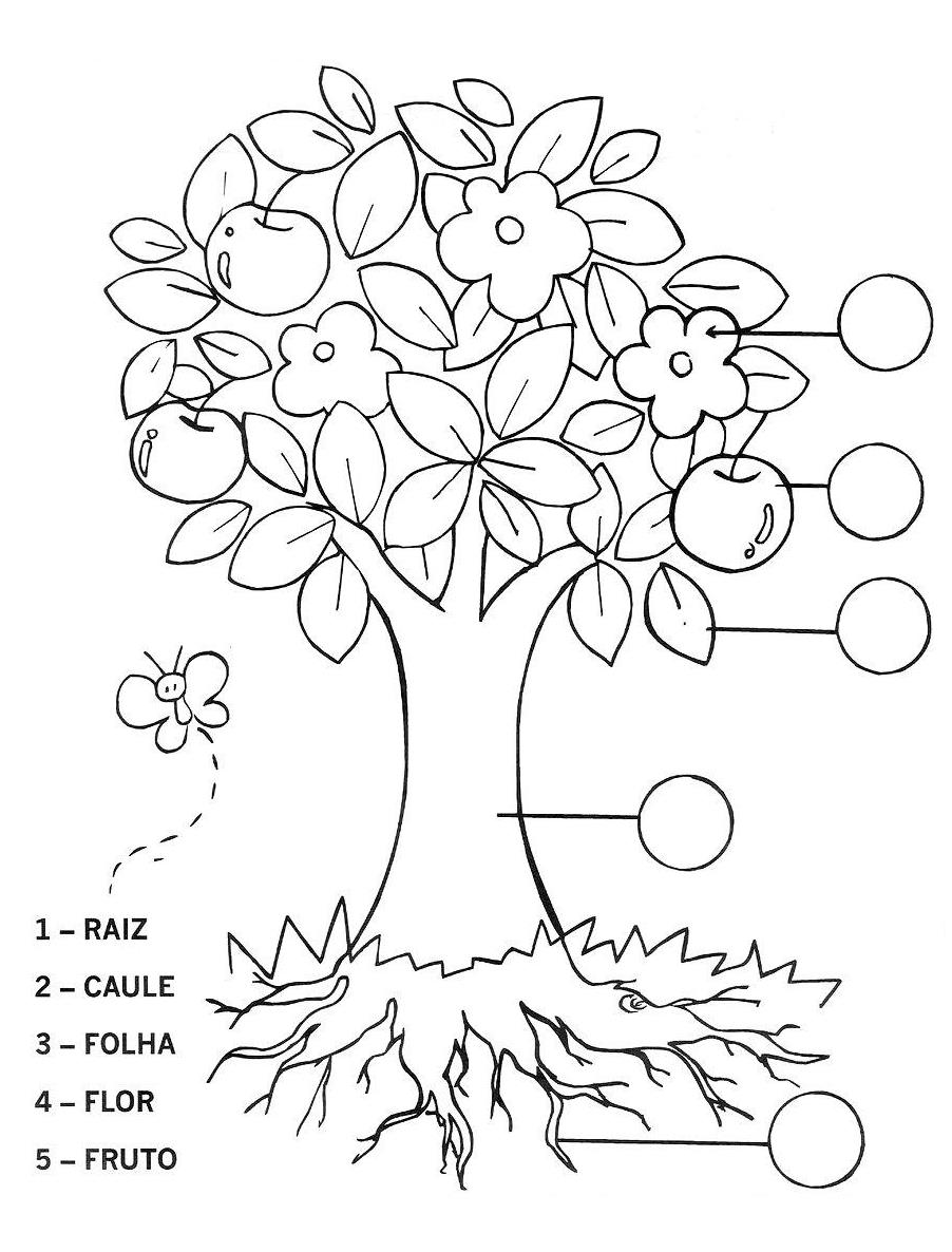 40 Desenhos De Plantas Para Colorir E Imprimir Online Cursos Gratuitos