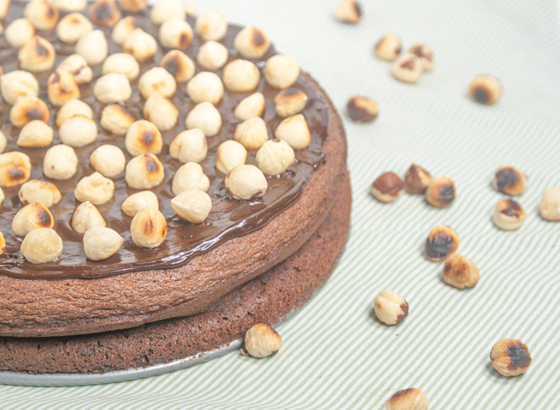 Flourless Nutella Cake Only Taste Matters