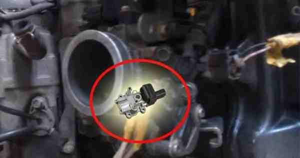 How To Test The Idle Air Control Valve In Your Car And Cleaning Tips